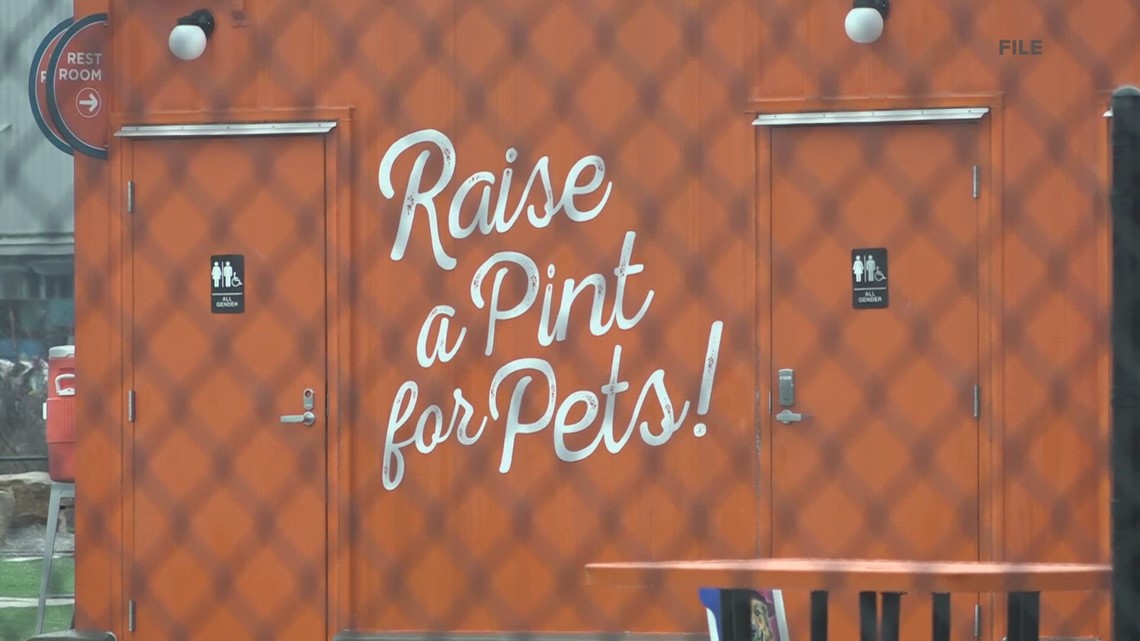 Here are 5 things to do in St. Louis, April 21-23 | ksdk.com