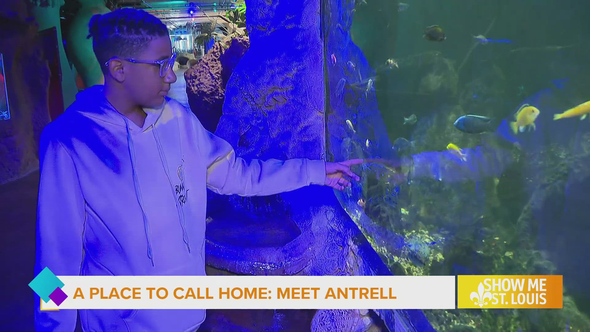 Antrell seeks a forever home to enjoy his favorite activities | ksdk.com