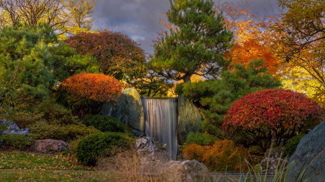 St. Louis fall foliage guide: Best leaf-peeping spots | ksdk.com