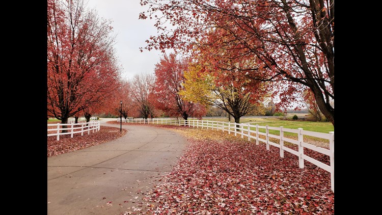 Fall foliage map in the St. Louis area | ksdk.com