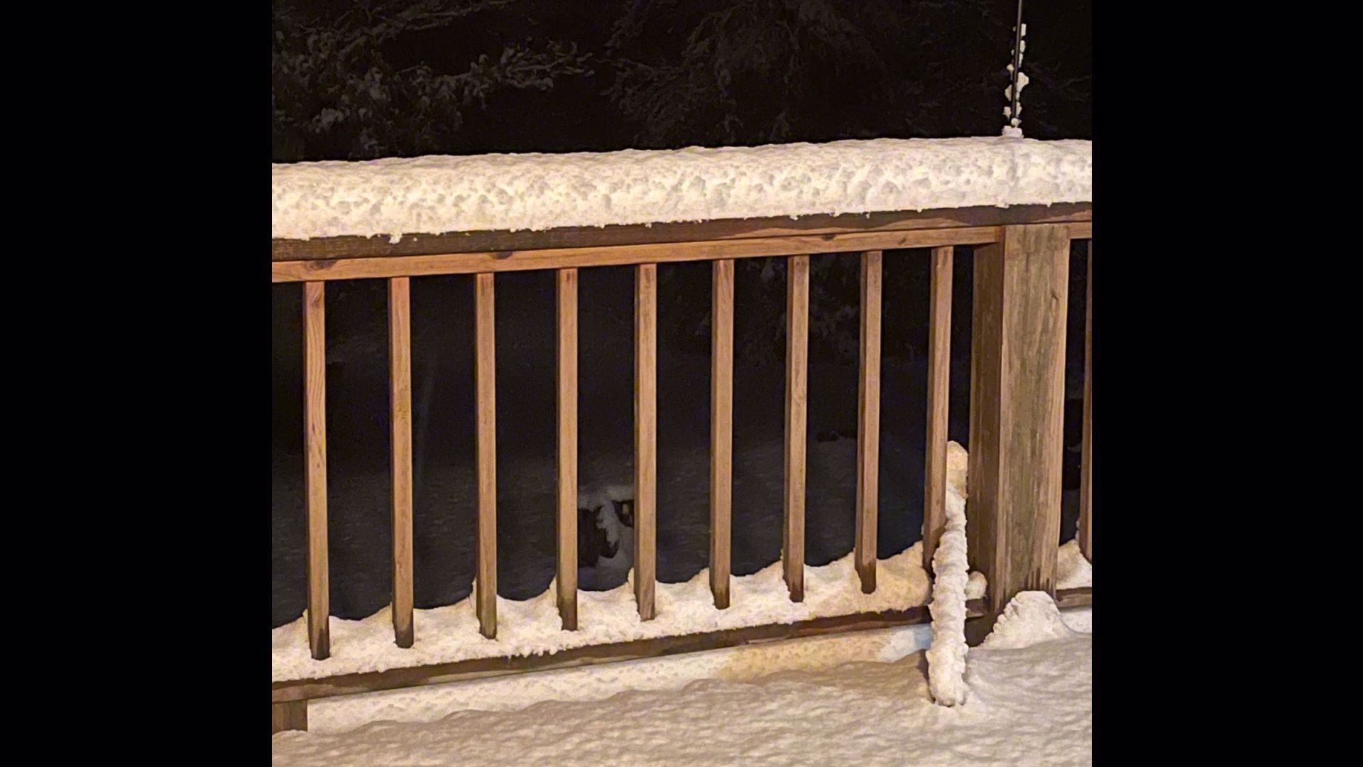 St. Louis forecast: Snow expected Tuesday | ksdk.com