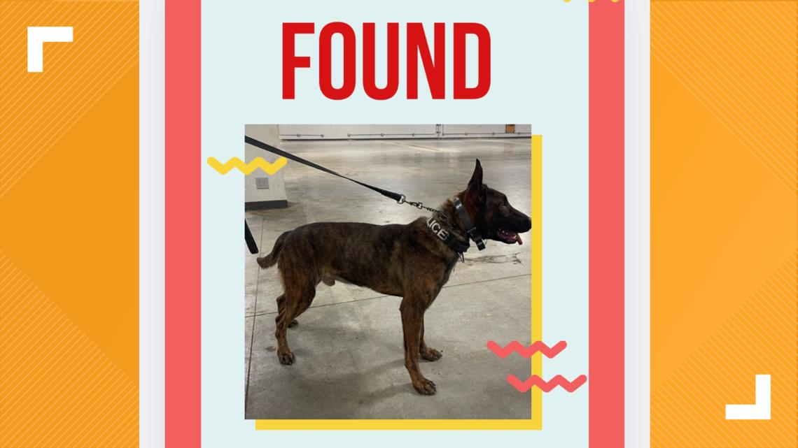 Pagedale police dog found safe after storm ordeal | ksdk.com