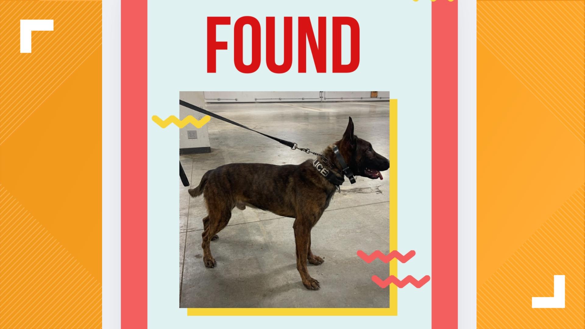 Pagedale police dog found safe after storm ordeal | ksdk.com