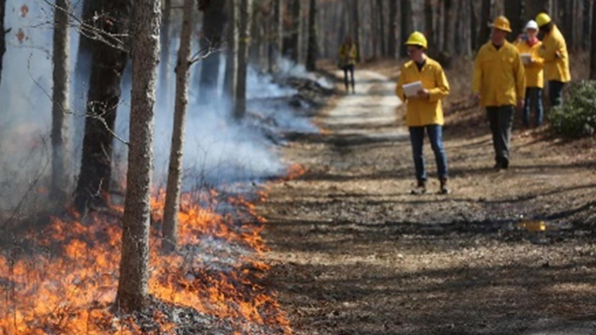 Mid-Missouri's wildfire disaster is coming. This group is trying to ...