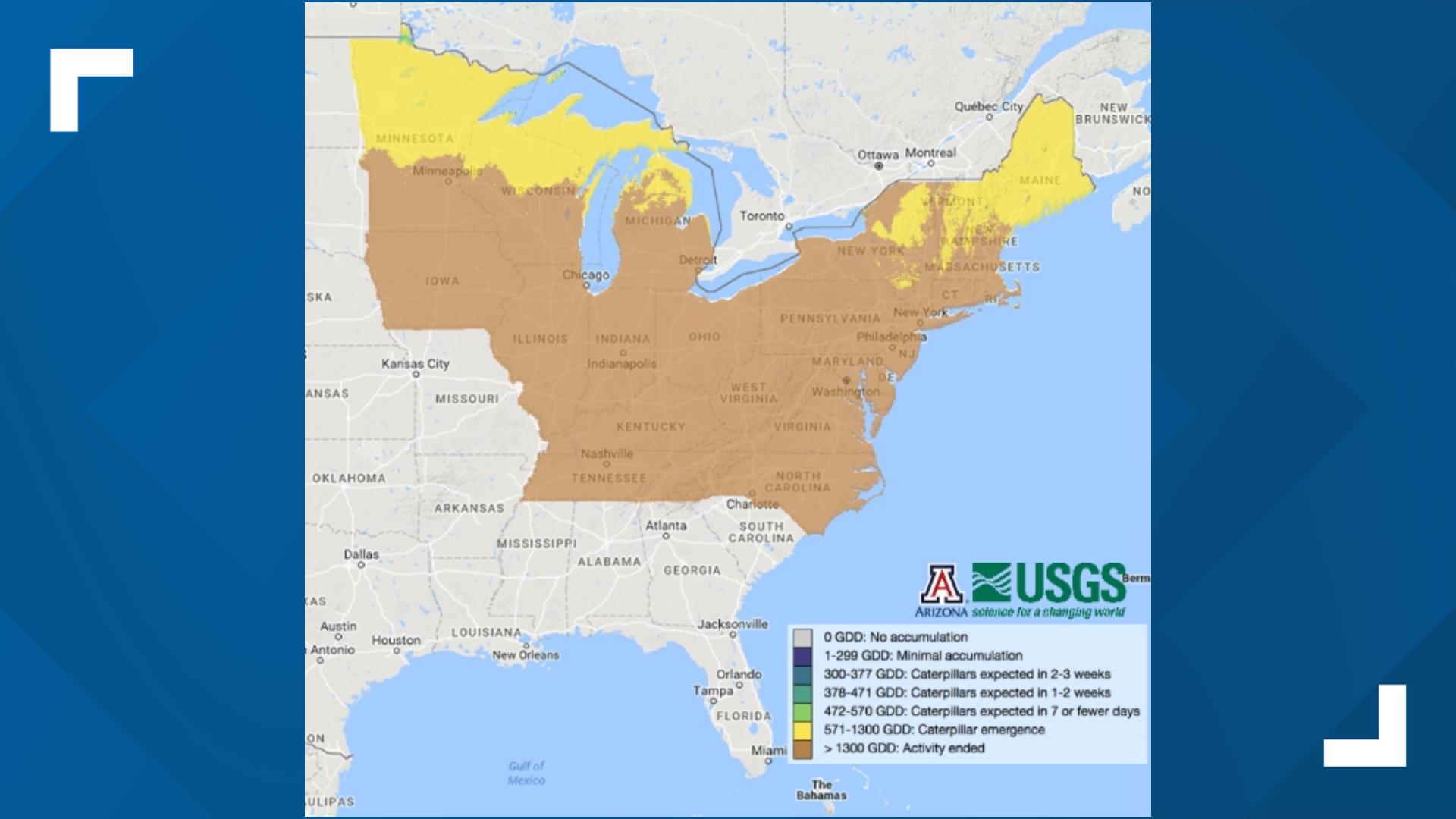 Missouri spongy moths' next target? Damaging bug an inevitability ...