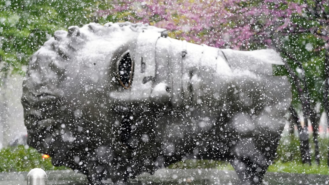 A dusting of April snow surprises St. Louis area, then vanishes | ksdk.com