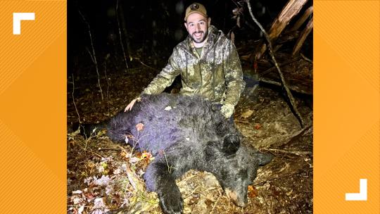 Missouri's 5th black bear hunting season just ended. Here's how many ...