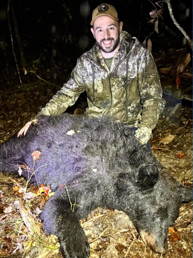 Missouri's 5th black bear hunting season just ended. Here's how many bears were harvested | ksdk.com