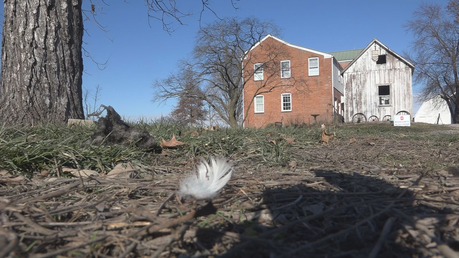 Microsoft's top design app that usually costs $249.99 is now $10 | ksdk.com