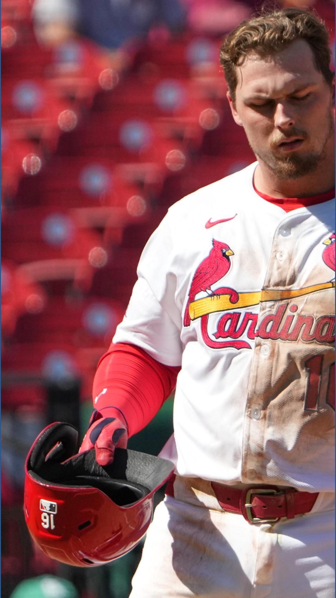 Spencer Steer homers as the Reds beat the Cardinals 6-2 in rubber game ...