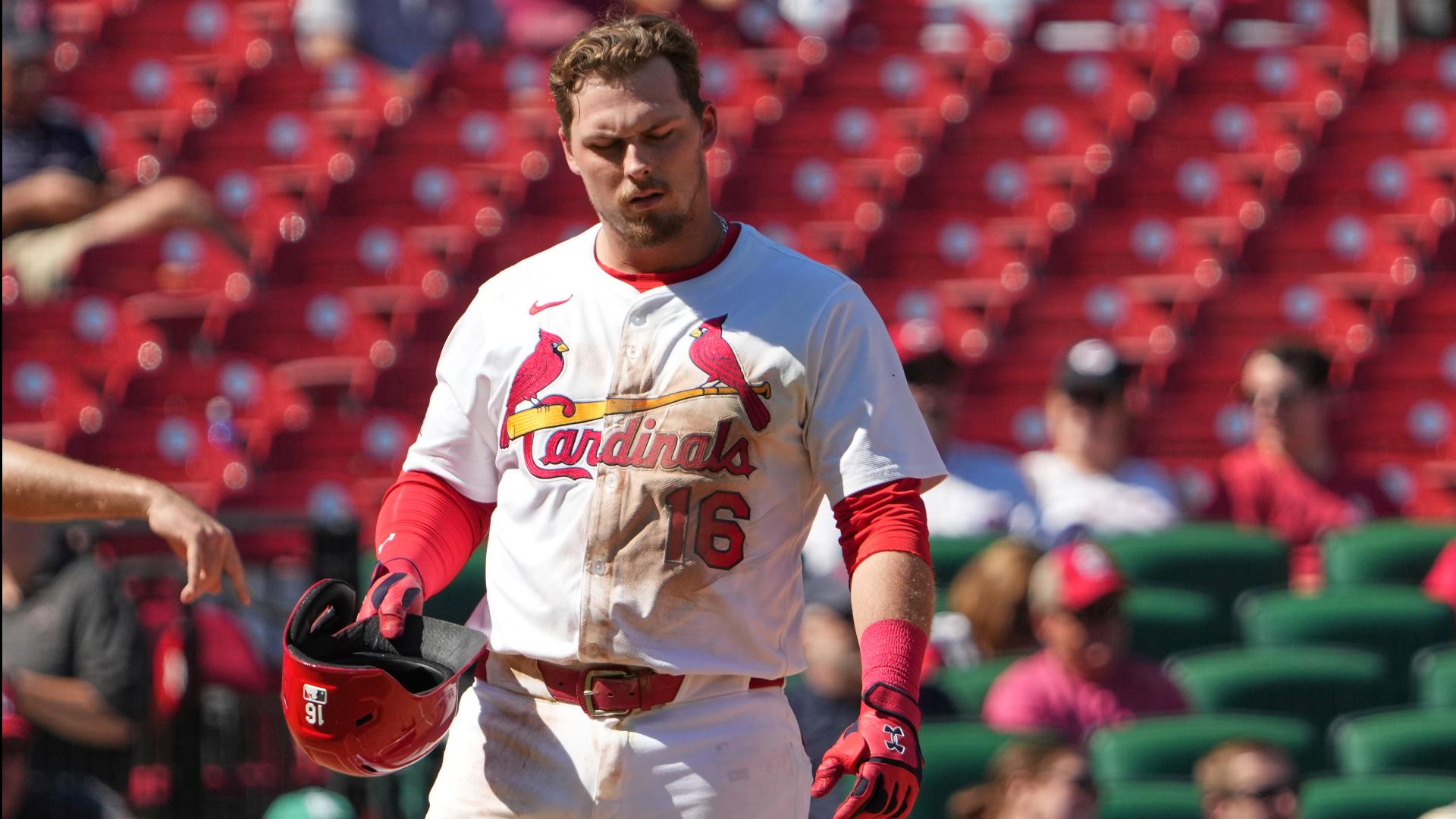 Spencer Steer homers as the Reds beat the Cardinals 6-2 in rubber game ...