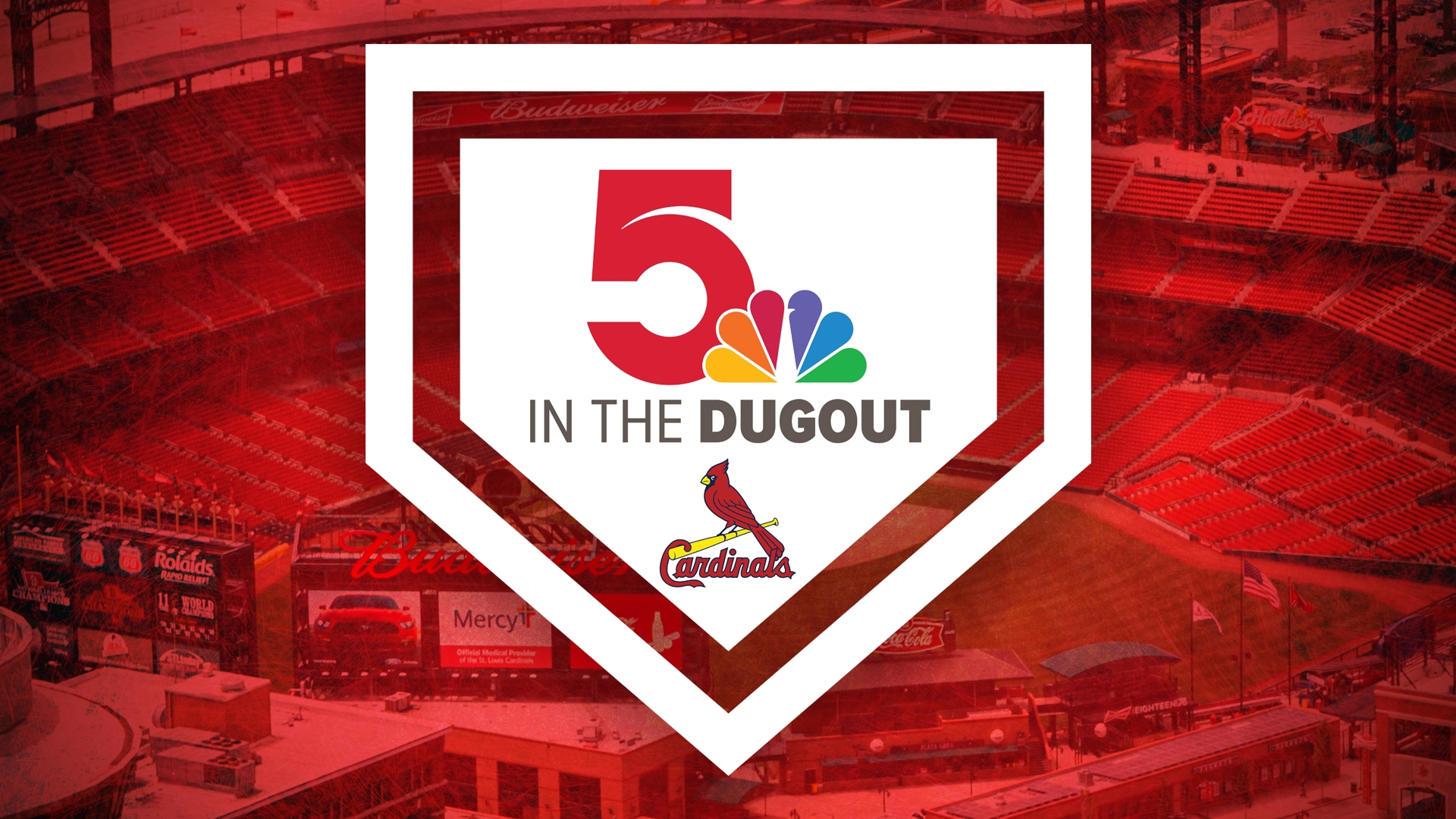 5 in the Dugout: St. Louis Cardinals spring training report (March 4 ...