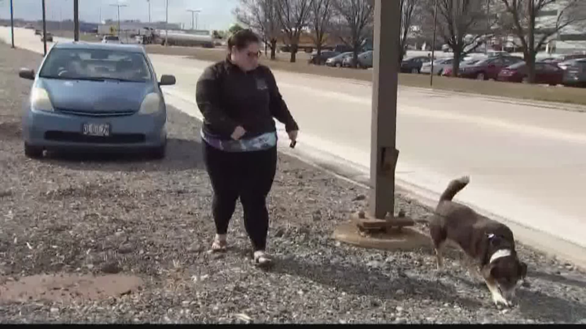 Joey the dog finally returns to US | ksdk.com