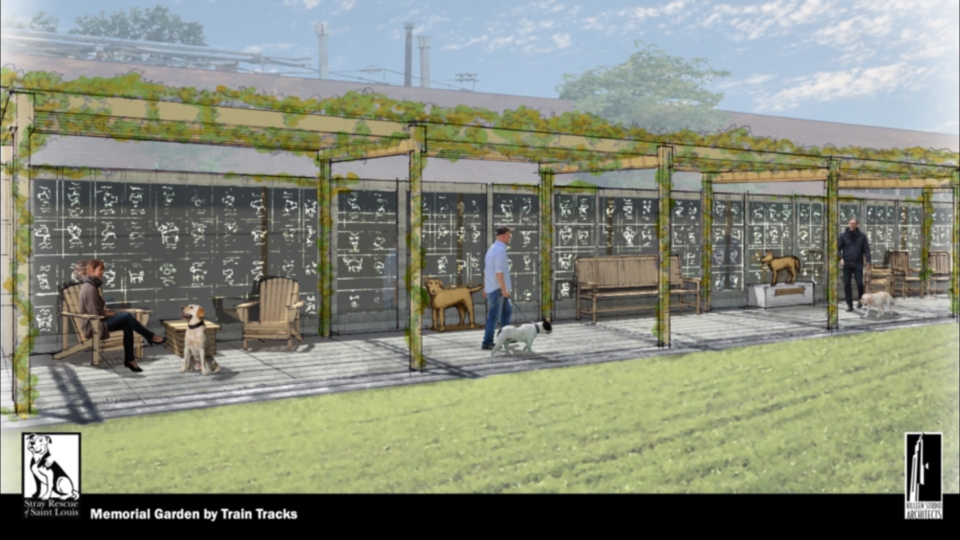 Stray Rescue of St. Louis receives $1M gift toward new facility | ksdk.com