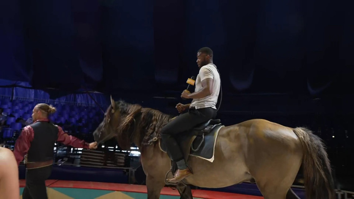 Circus Flora Celebrates 40 Years with New Show, Flying High | ksdk.com