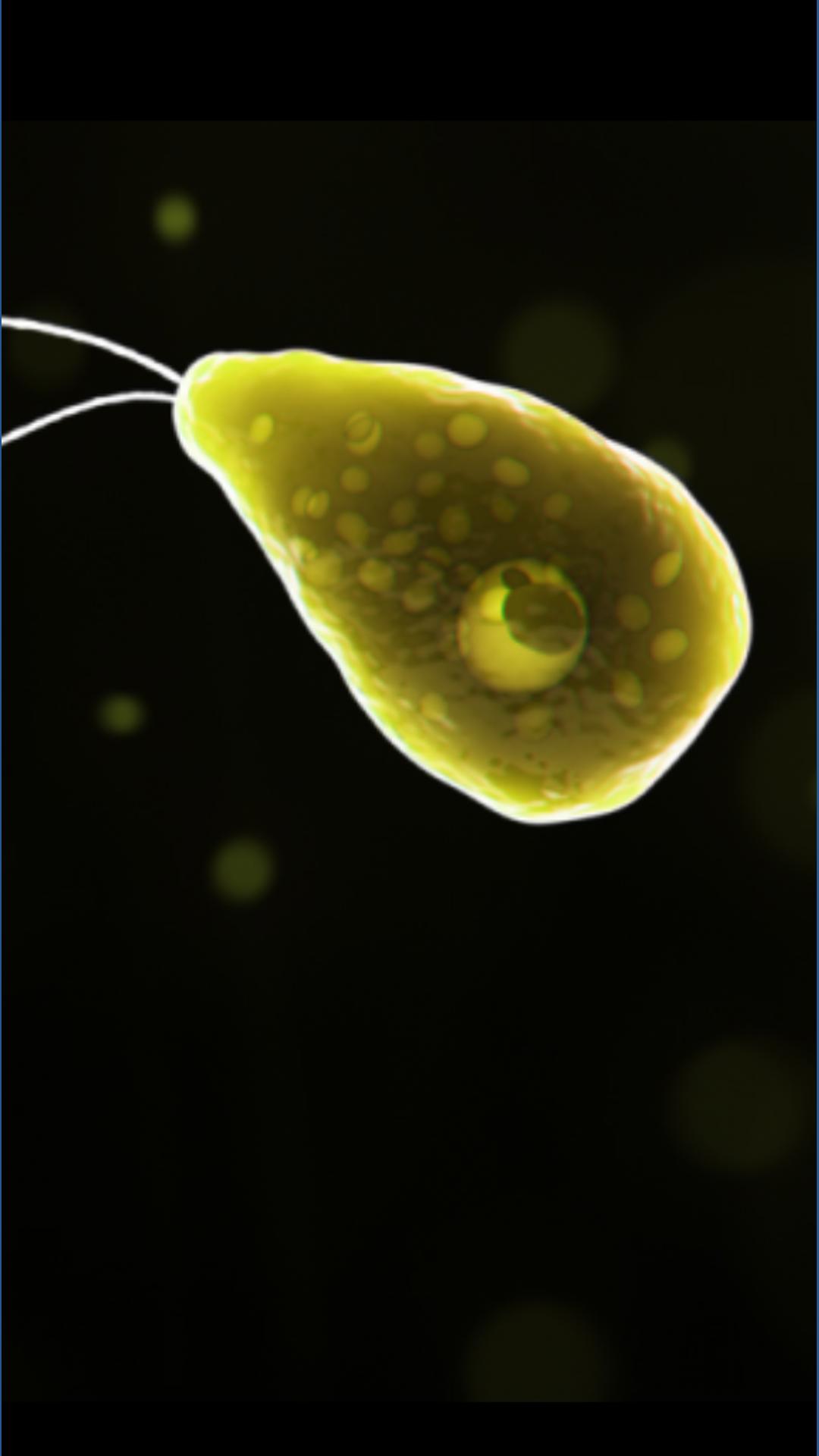 Brain eating amoeba patient dies in Missouri after Naegleria fowleri ...