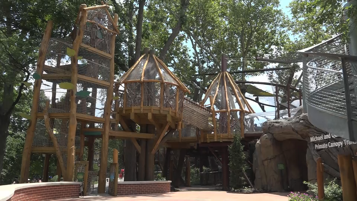 New zoo exhibit Primate Canopy Trails opens to the public Monday | ksdk.com