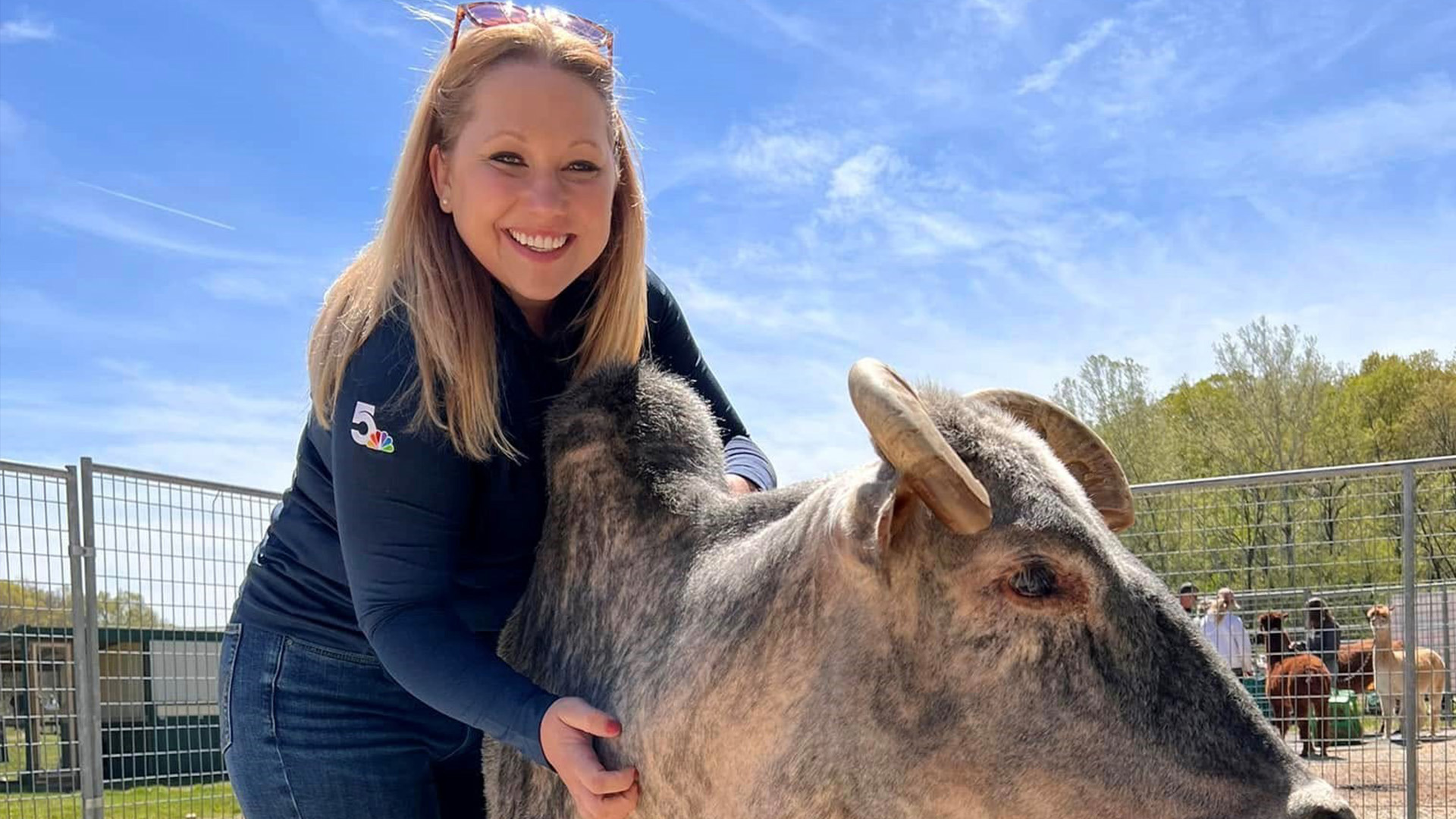 Tracy Hinson | ksdk.com