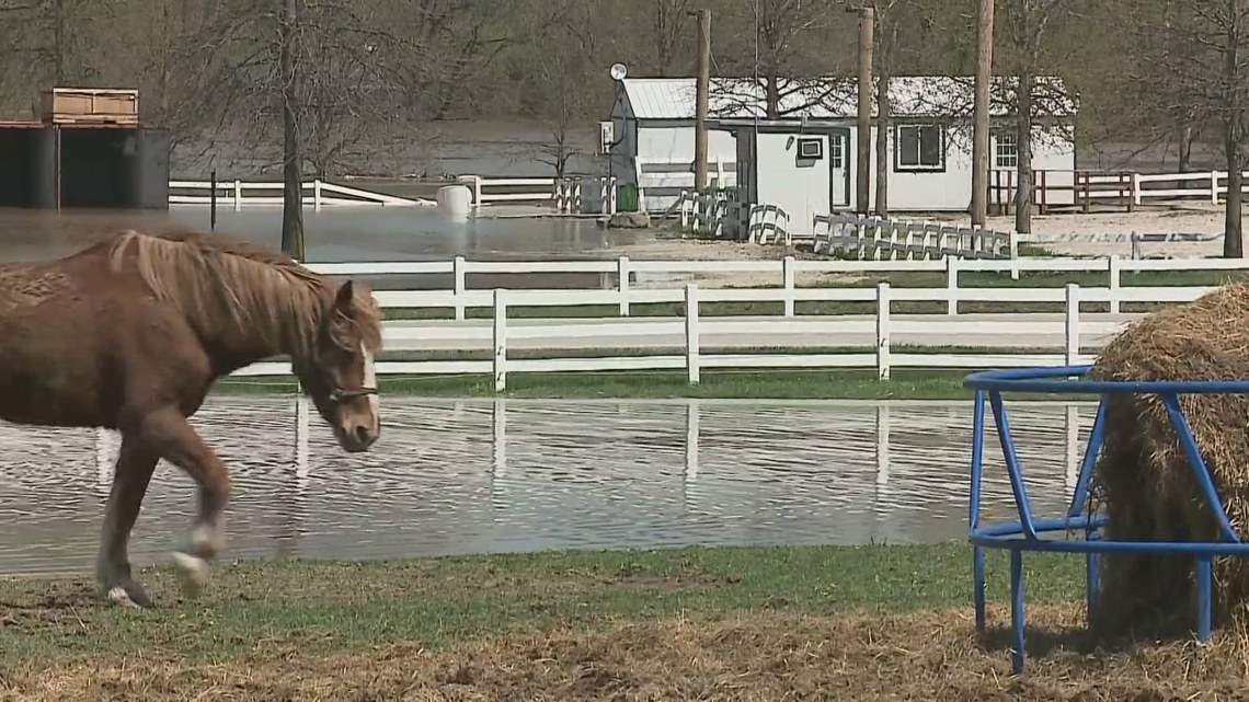 Floodwaters inundate Brookdale Farms for the second time in 5 months ...