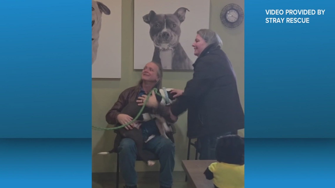 Doh shot over the holidays finds new family | ksdk.com