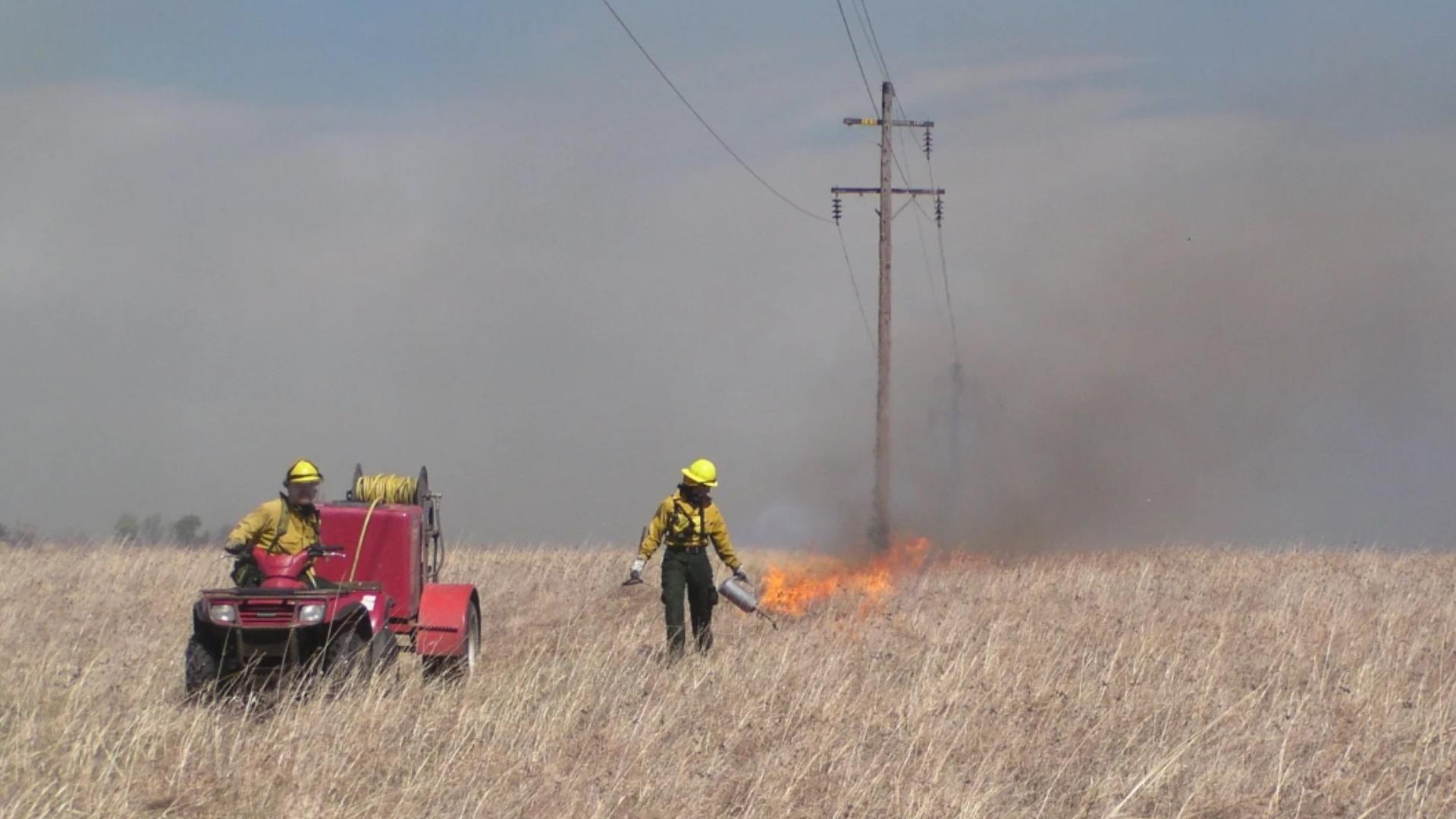 Missouri's environment needs fire; why prescribed burns help | ksdk.com