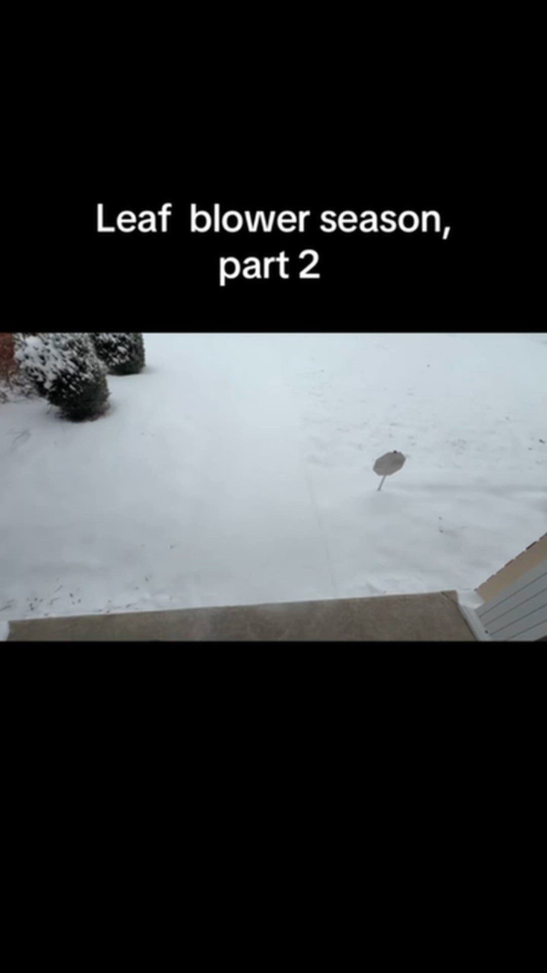 Leaf blower used to clear porch in St. Louis during snowstorm | ksdk.com