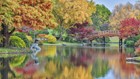 St. Louis fall foliage guide: Best leaf-peeping spots | ksdk.com