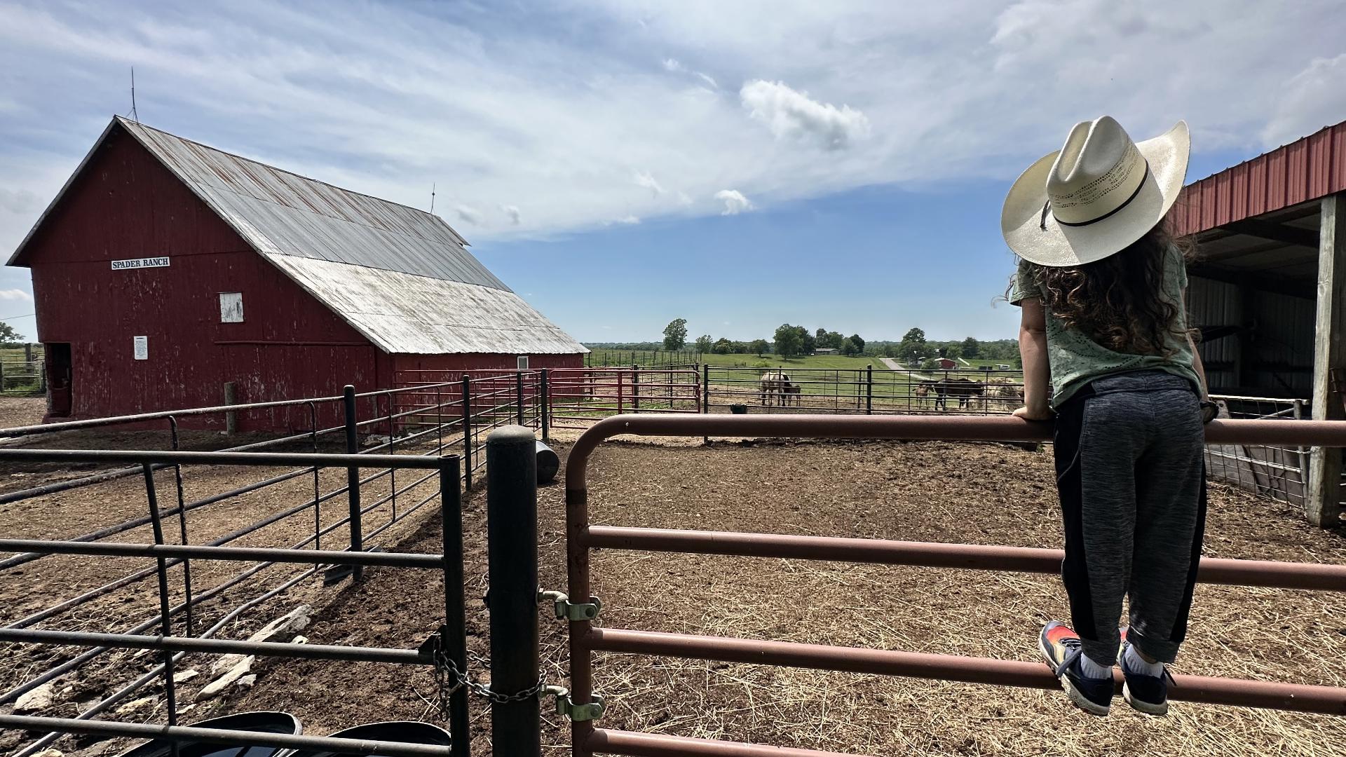 A father’s tribute: Remembering and honor children killed by mom in ...