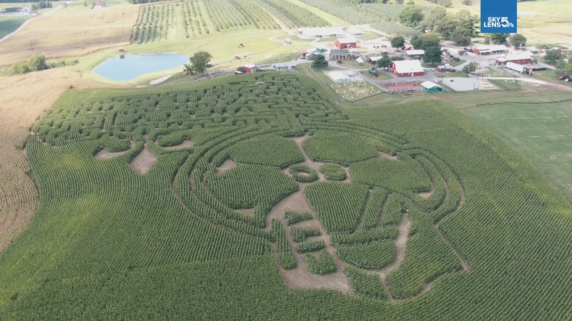 Eckert's reveals corn maze featuring St. Louis City SC | ksdk.com