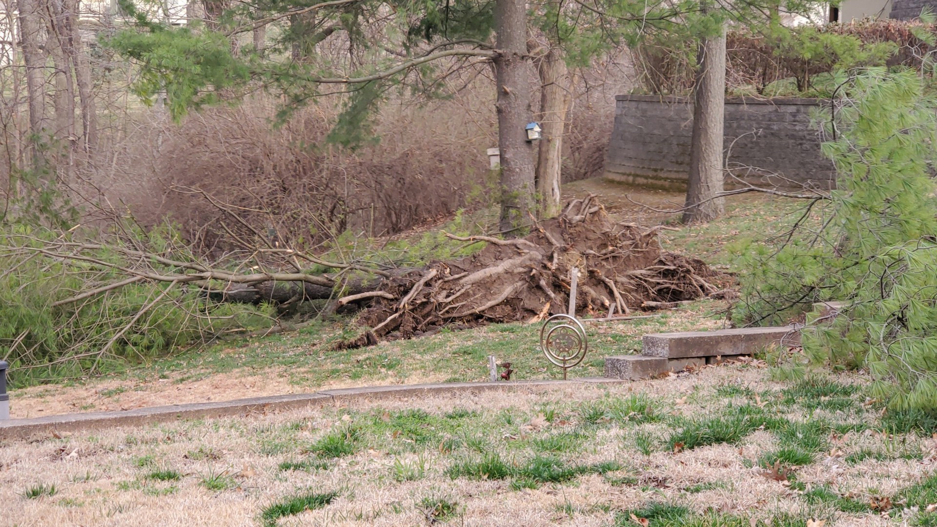 Friday night's severe weather blows down trees in Maryland Heights ...