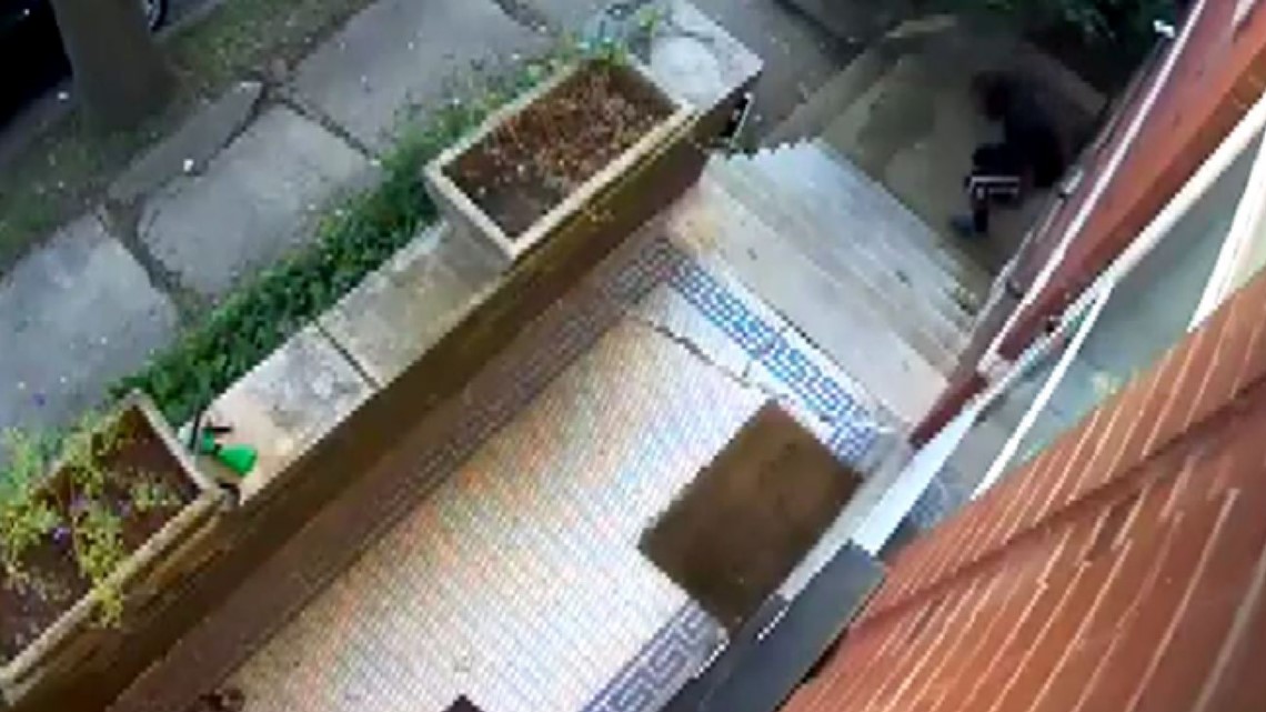 Surveillance video captures 'porch pooper' defecating on woman's ...