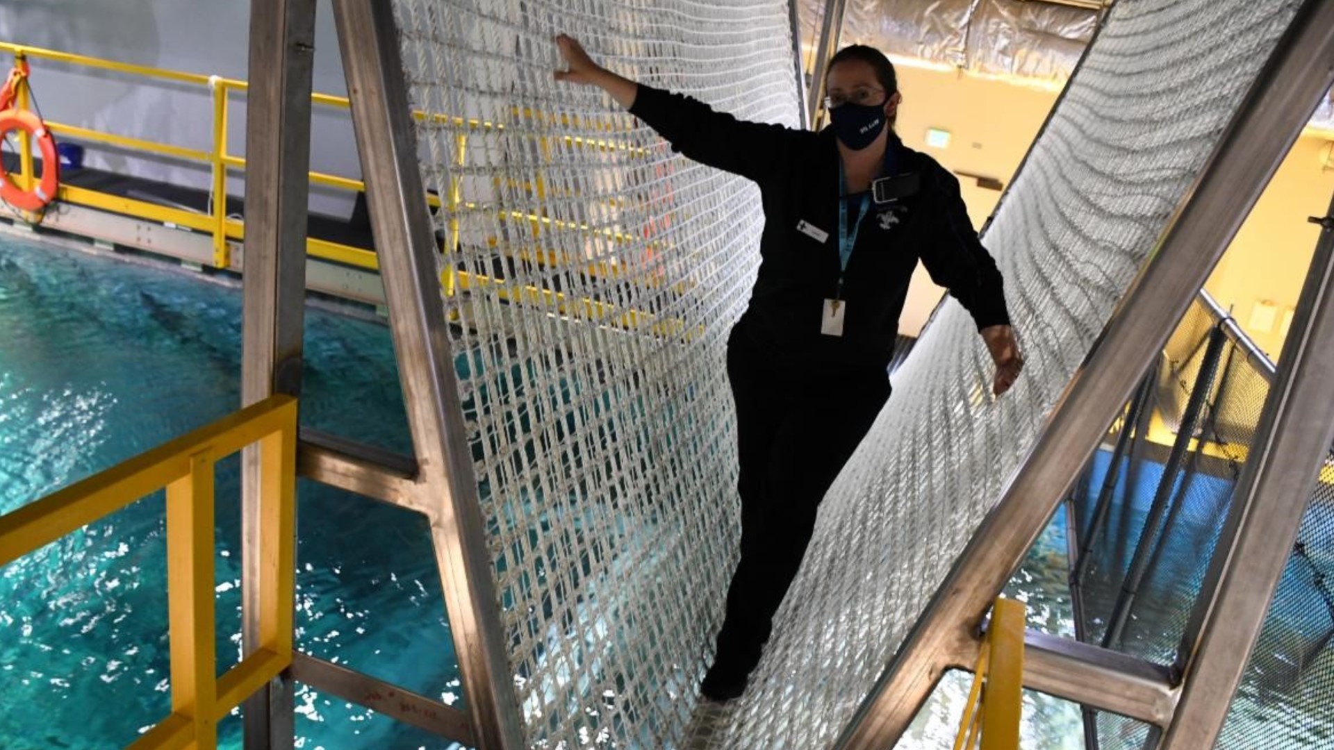 St. Louis Aquarium offers shark-themed activities for Shark Week | ksdk.com