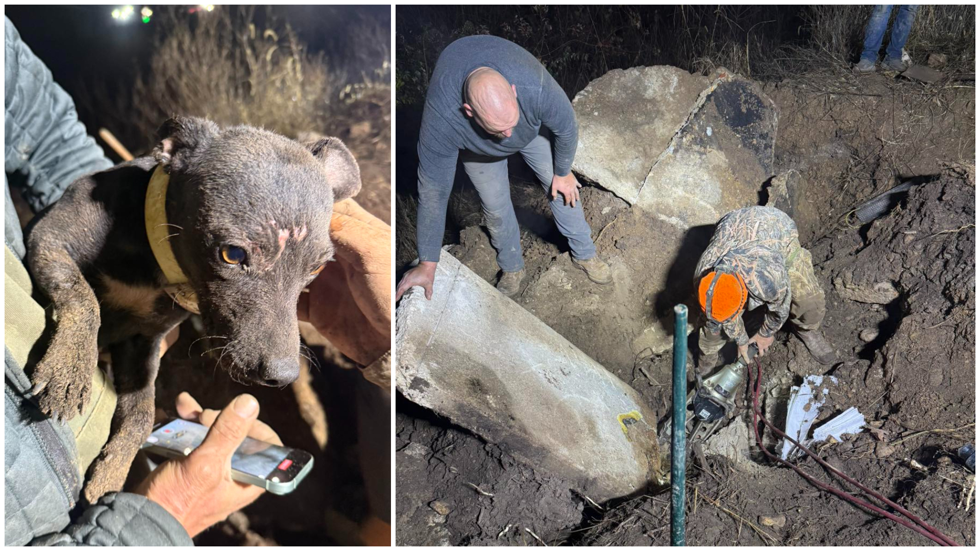 Hours-long rescue mission saves dog trapped in 12-foot hole | ksdk.com