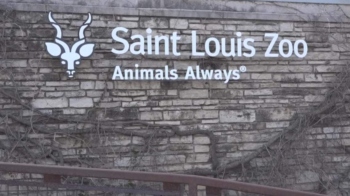 Saint Louis Zoo 5K has new course highlighting city landmarks | ksdk.com