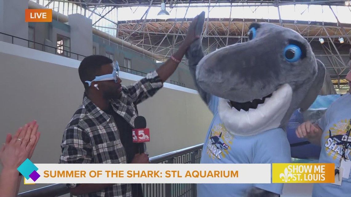 Summer of the Sharks opens in St. Louis | ksdk.com