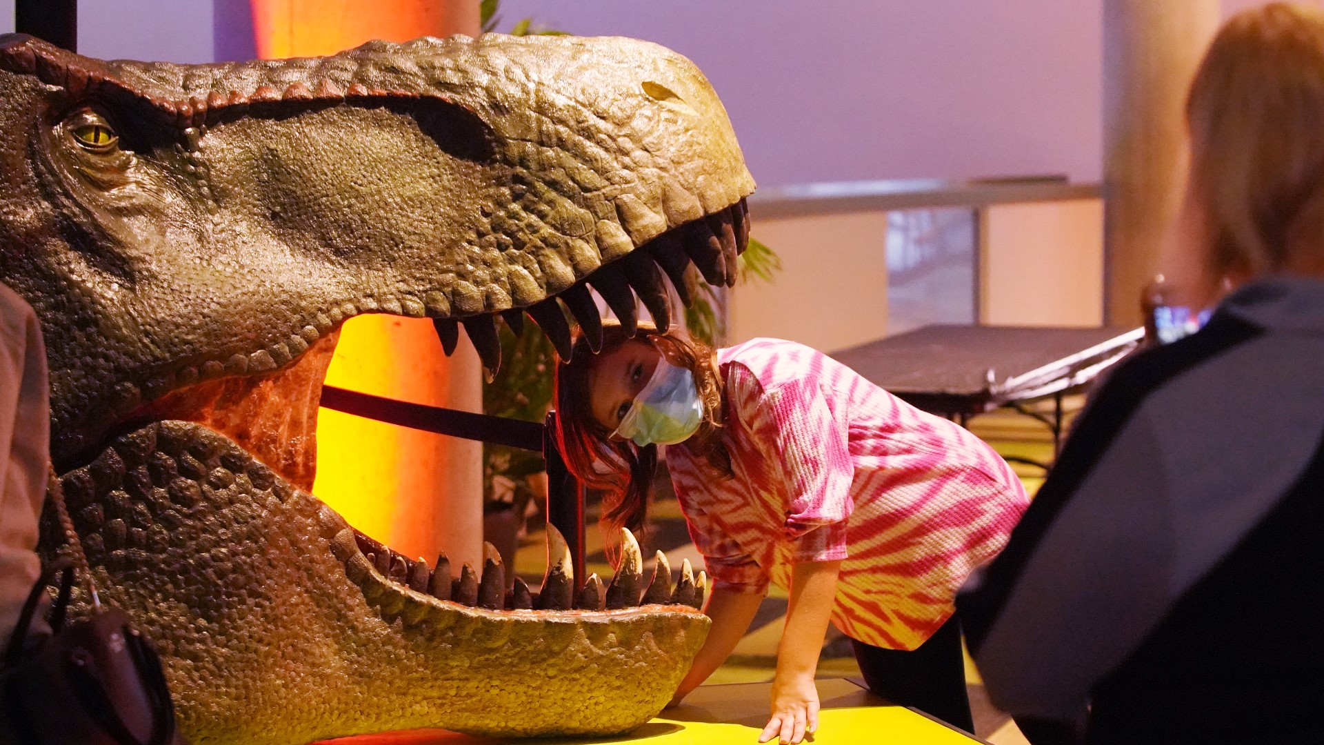Saint Louis Science Center in running for USA Today award | ksdk.com