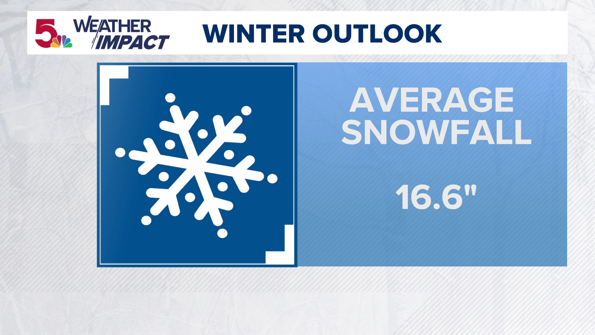 Winter outlook 2024: What St. Louis' winter season will look like ...
