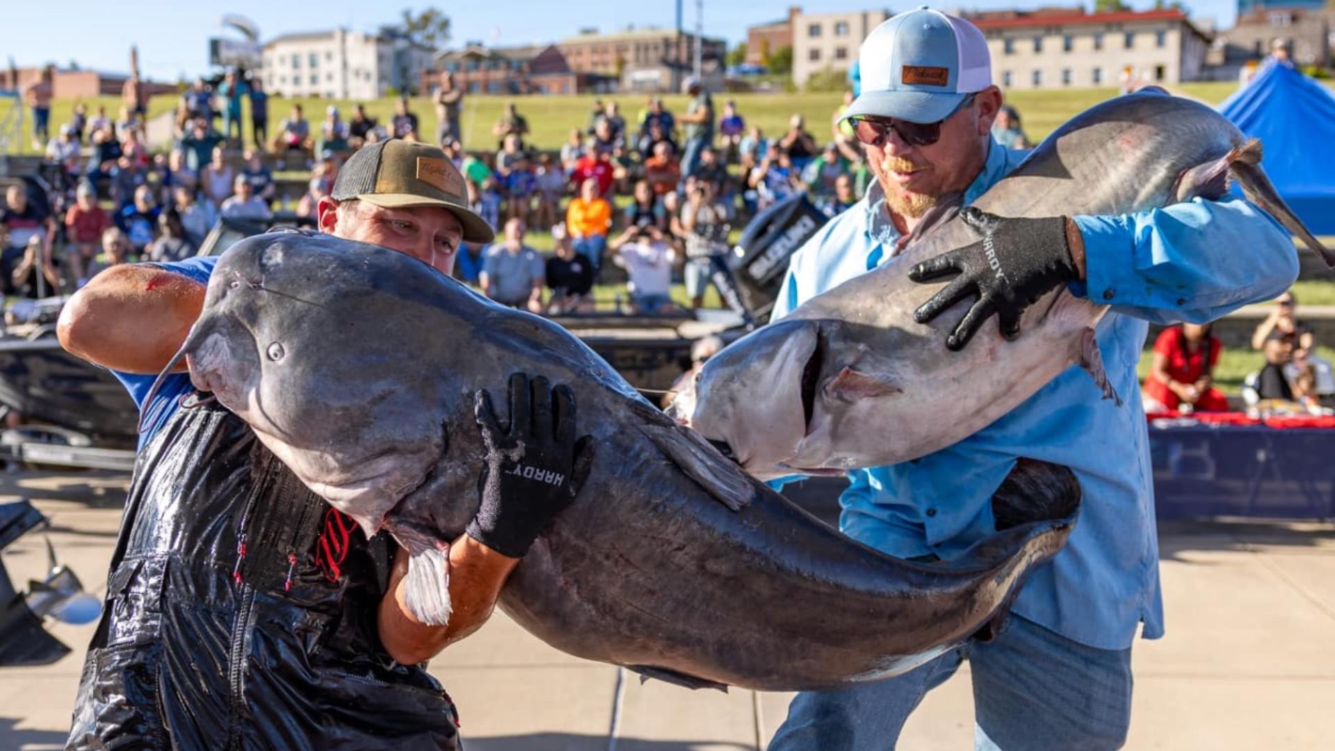 Alton Catfish Classic offers $20K prize for top angler this weekend ...