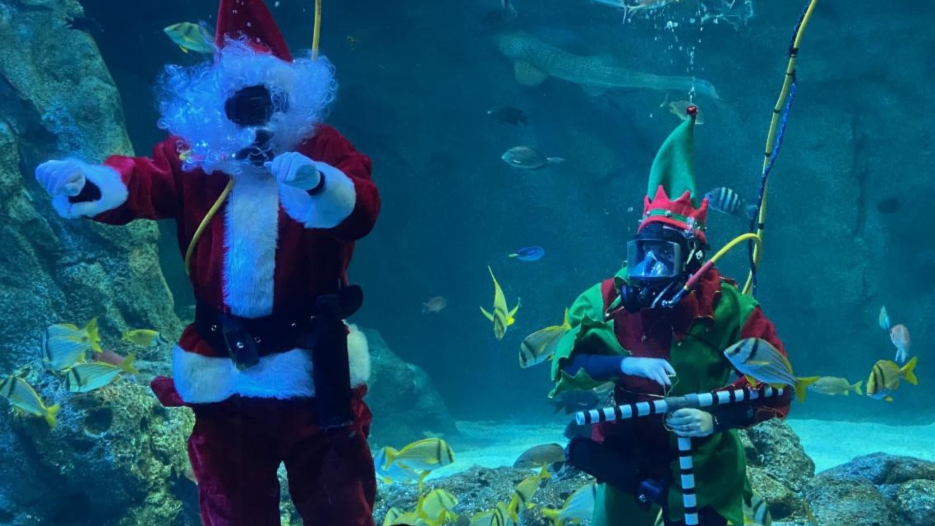 Christmas events in St. Louis 2021 | ksdk.com