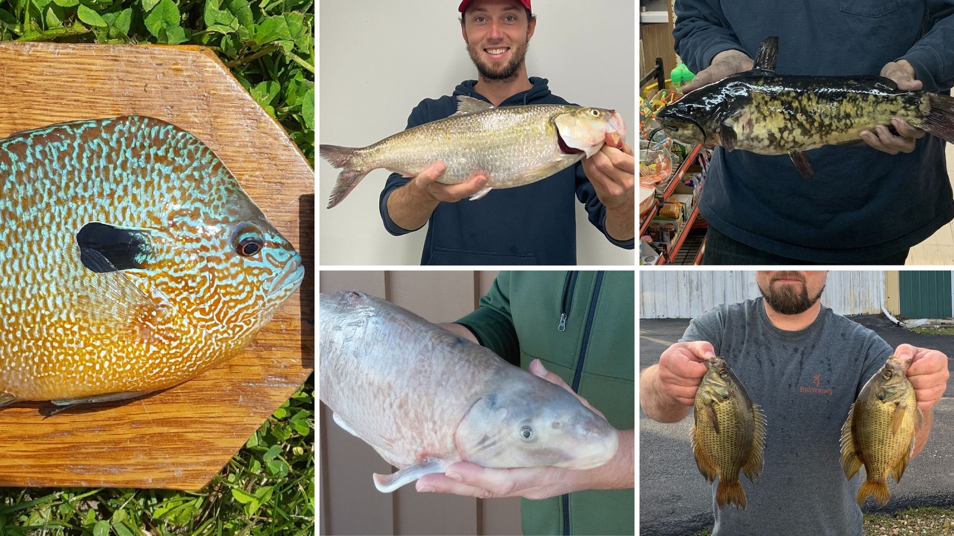 Missouri fishing records broken in 2023 | ksdk.com