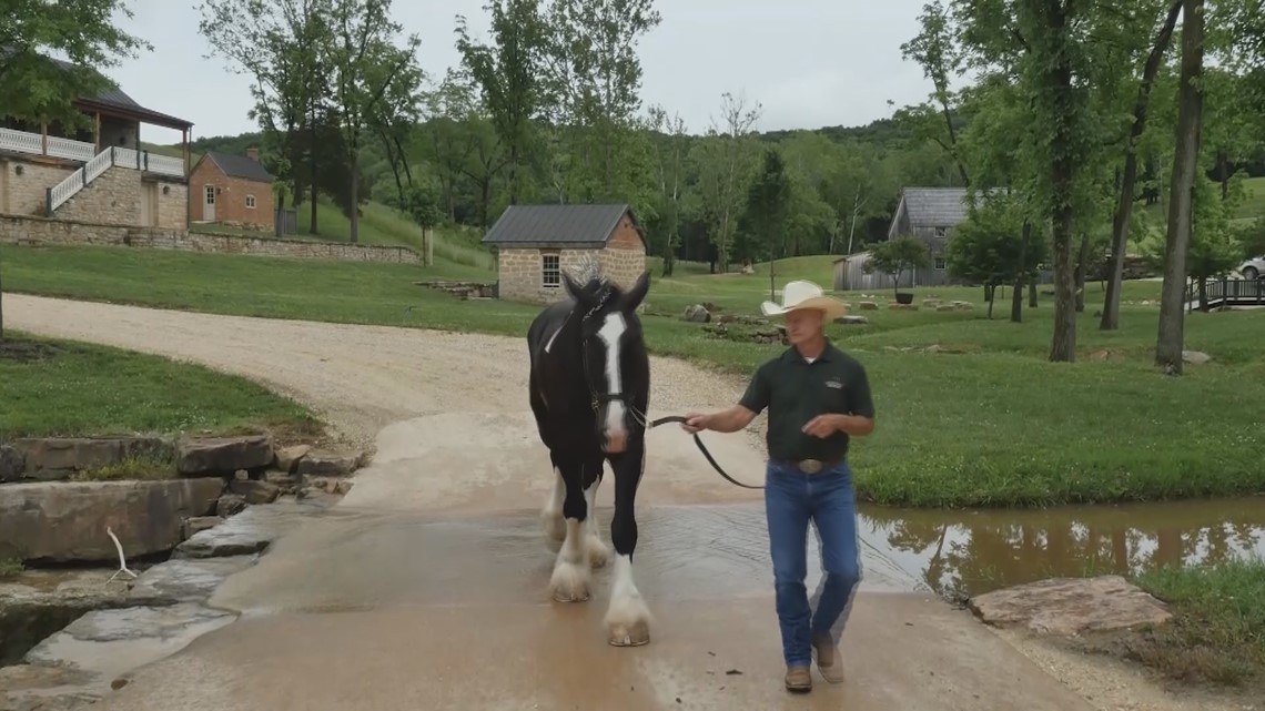 Hermann Farm is a hidden gem in Hermann, Missouri | ksdk.com