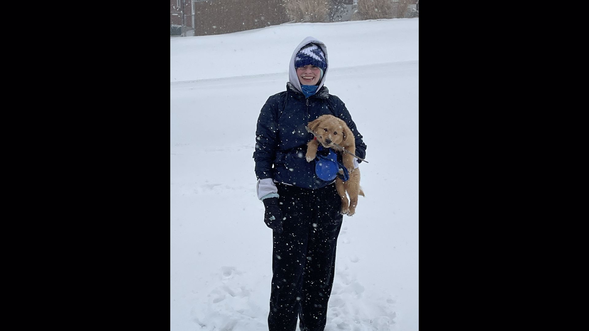 St. Louis area snow totals | ksdk.com