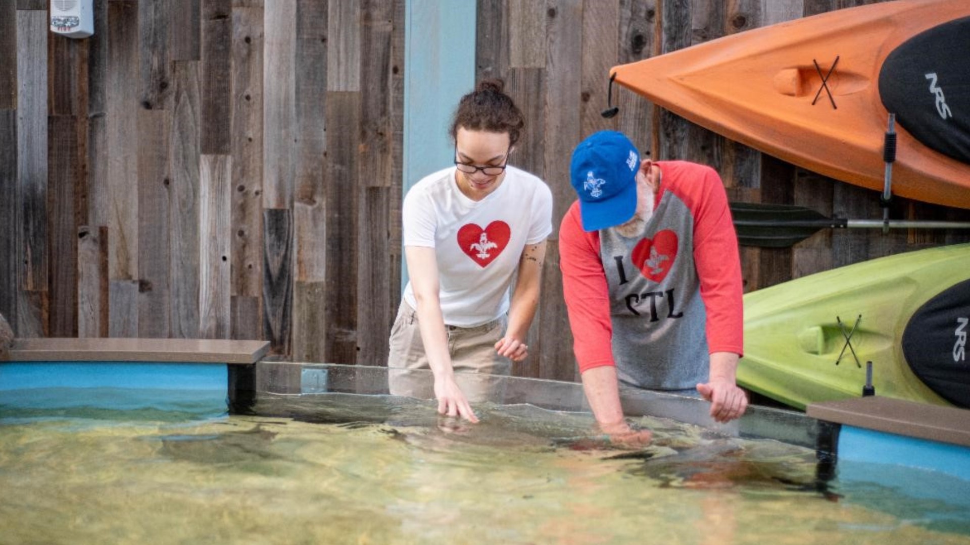 St. Louis Aquarium offers shark-themed activities for Shark Week | ksdk.com