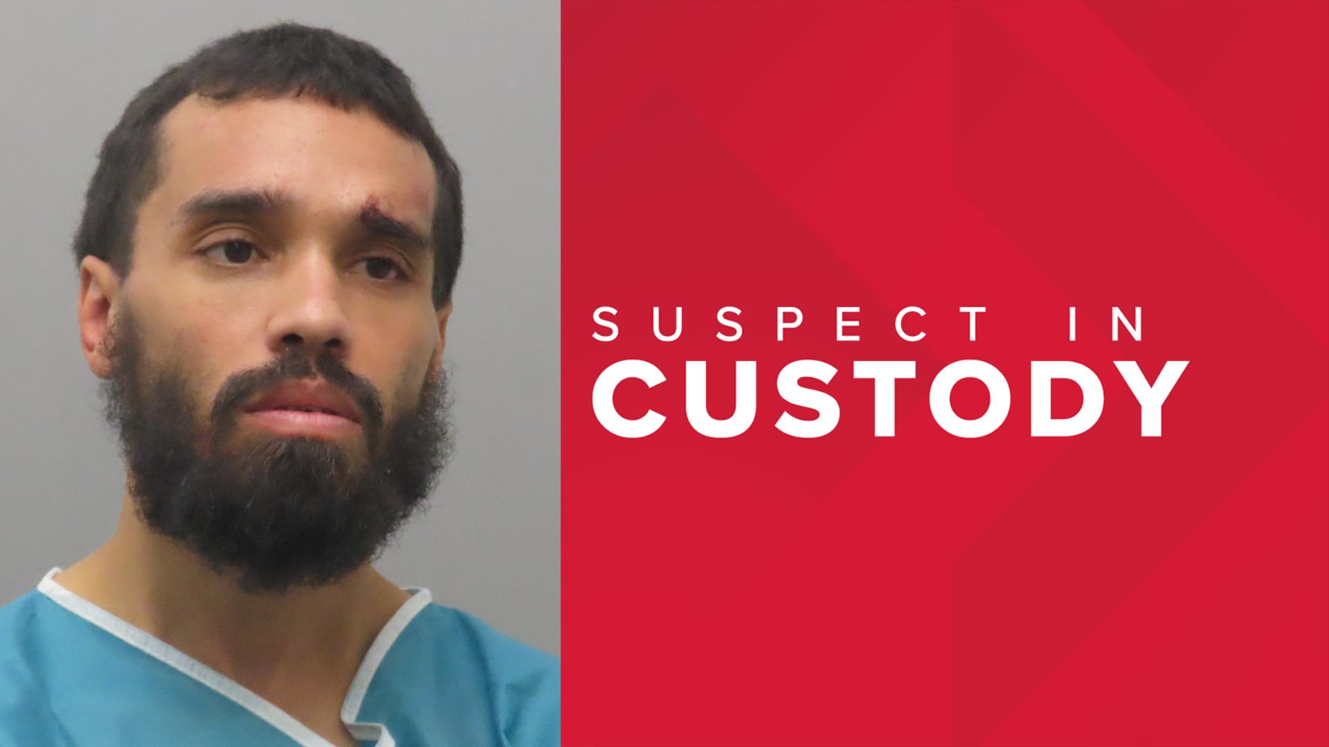 Grandson charged with murder in stabbing of grandmother, two dogs in St ...