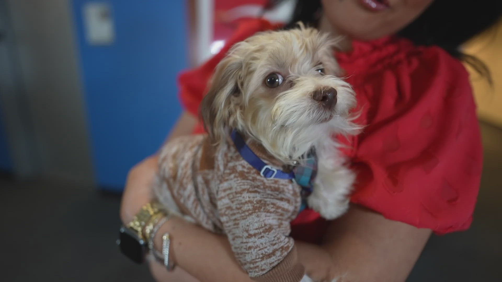 Sammy's Stars: Dec. 26, 2025 | ksdk.com