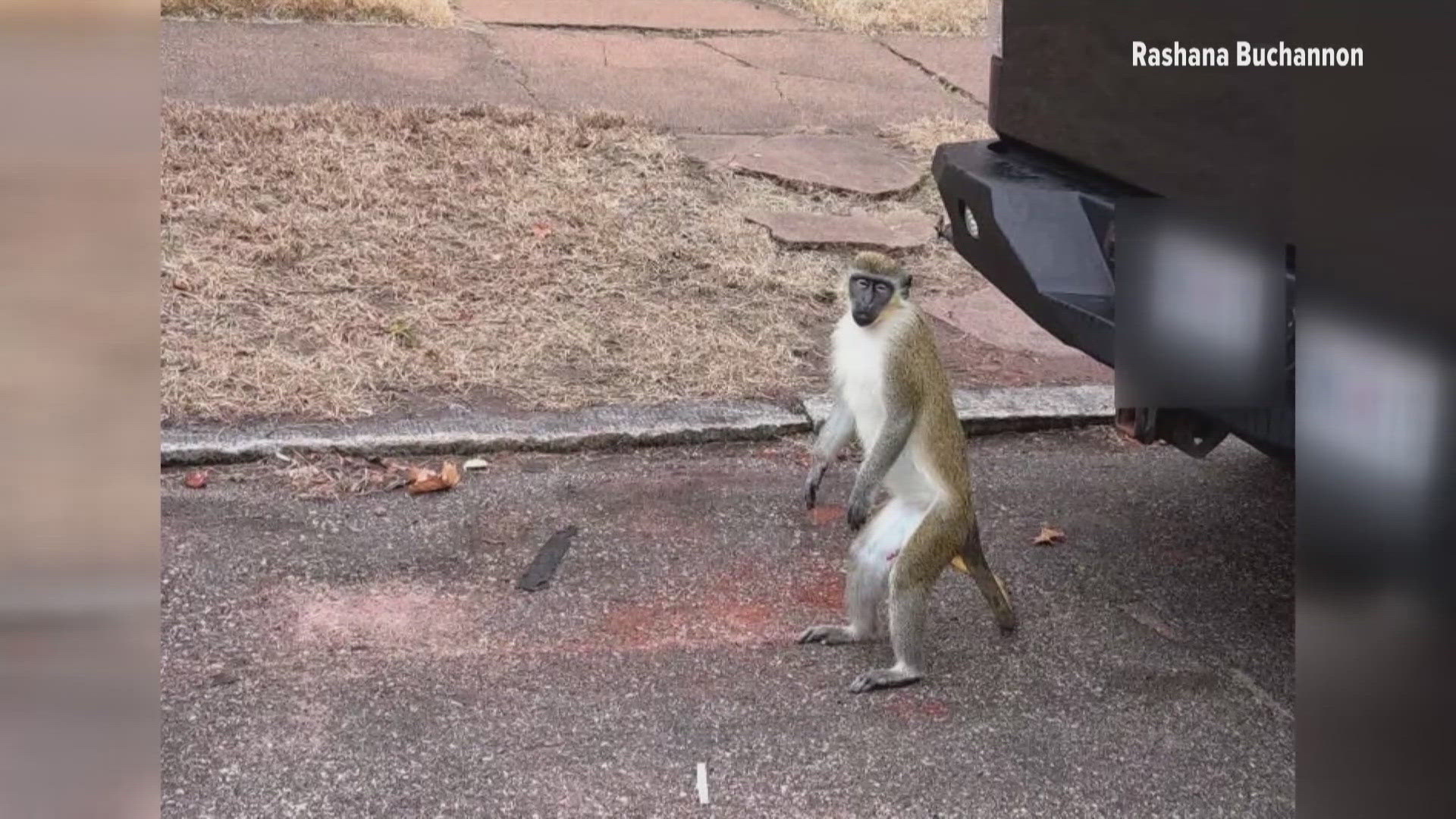 The death toll from a crackdown on protests in Iran jumps to at least ...