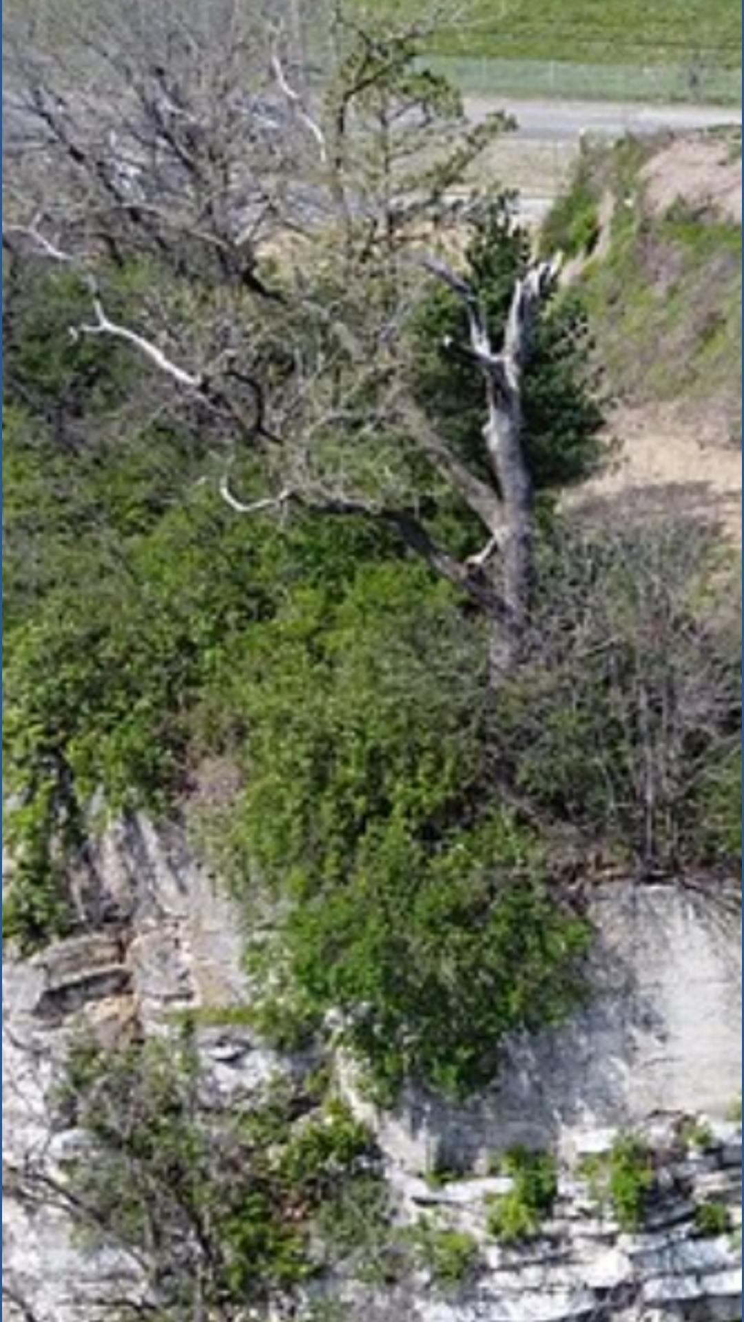 Osage Nation regains Sugarloaf Mound in St. Louis | ksdk.com