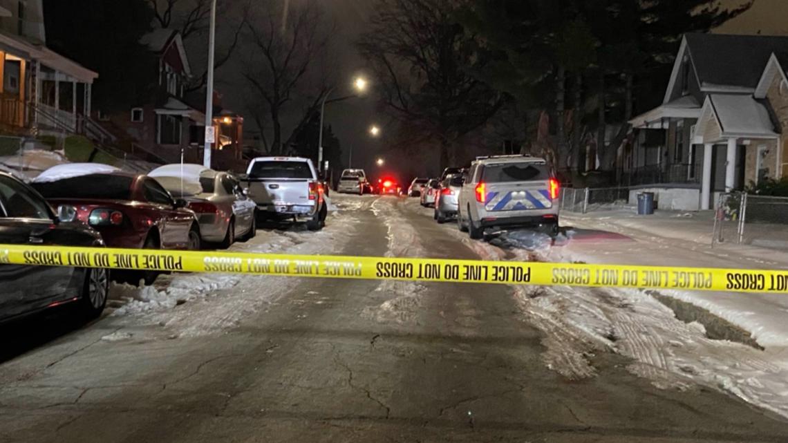 1 dead, 1 injured defending pet from dog attack in north St. Louis ...