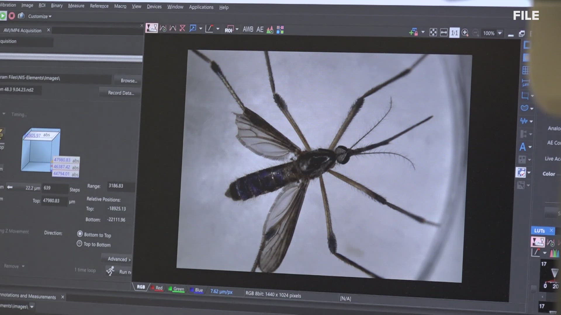West Nile Virus kills 3 in Missouri as cases surge | ksdk.com