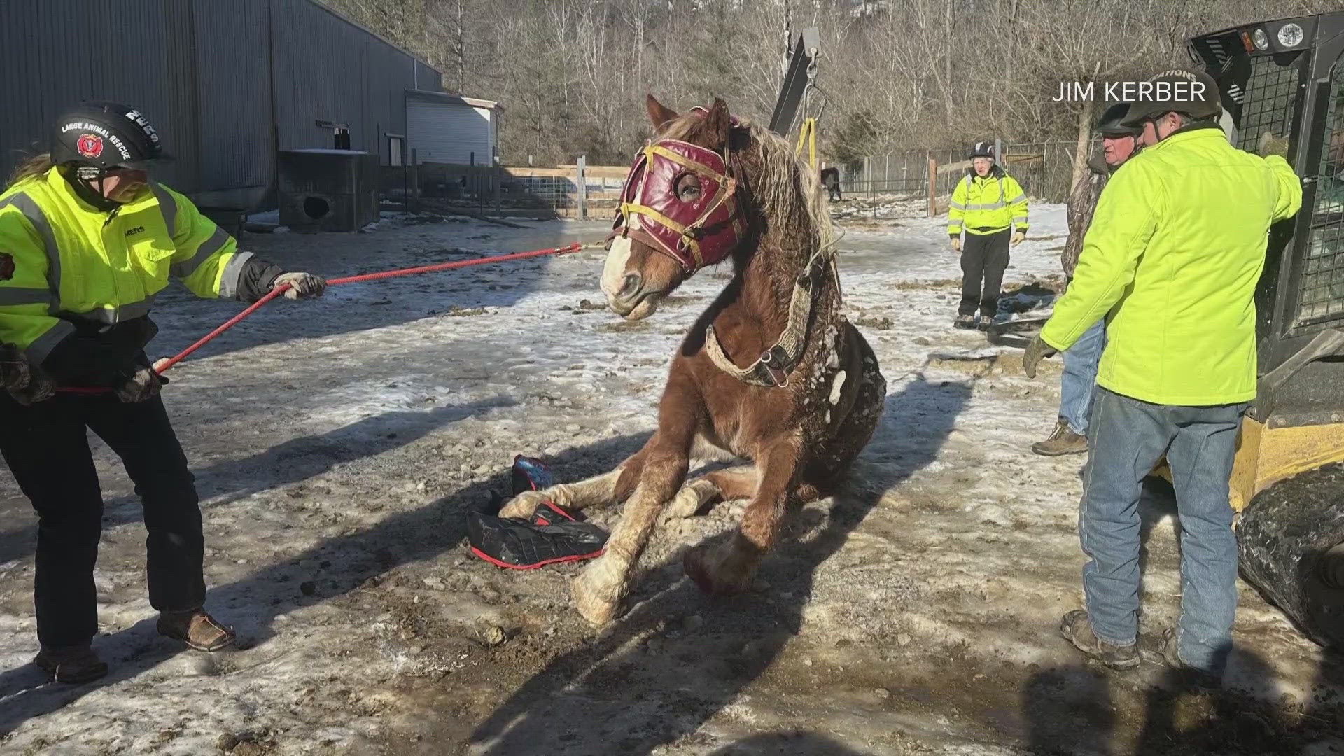 Large animal rescue saves horses after icy falls | ksdk.com